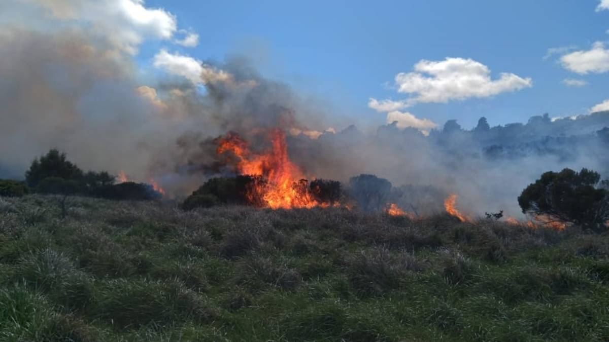 Incendios: Córdoba mantiene un foco activo, mientras controlan dos en ...